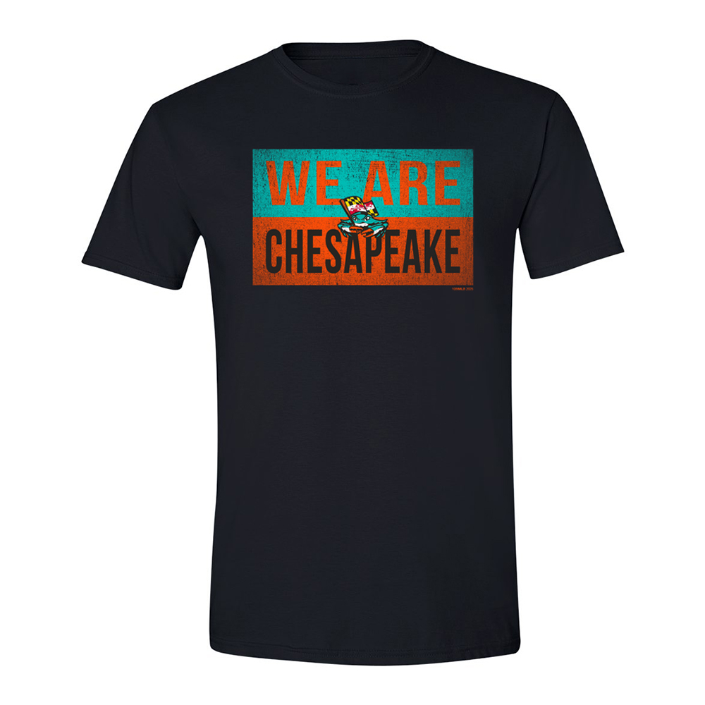 Chesapeake Baysox ADULT We Are Chesapeake BLACK – Chesapeake Baysox ...